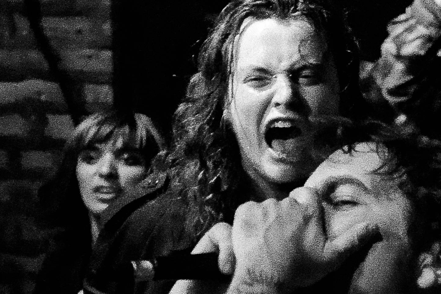 The Fallen Log Shows & Events - Kitchen 17